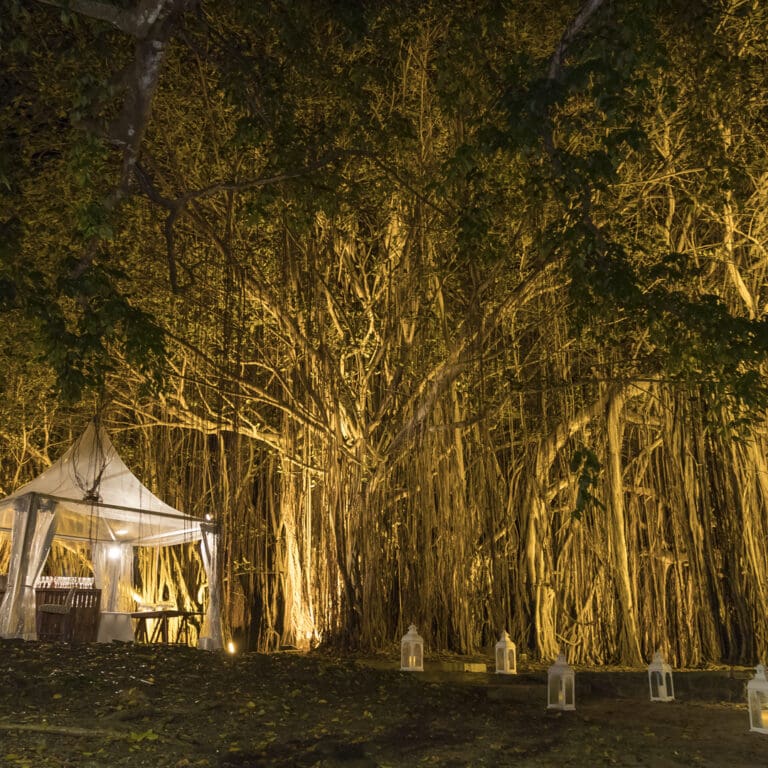 Property | Alteo Group | Mauritius