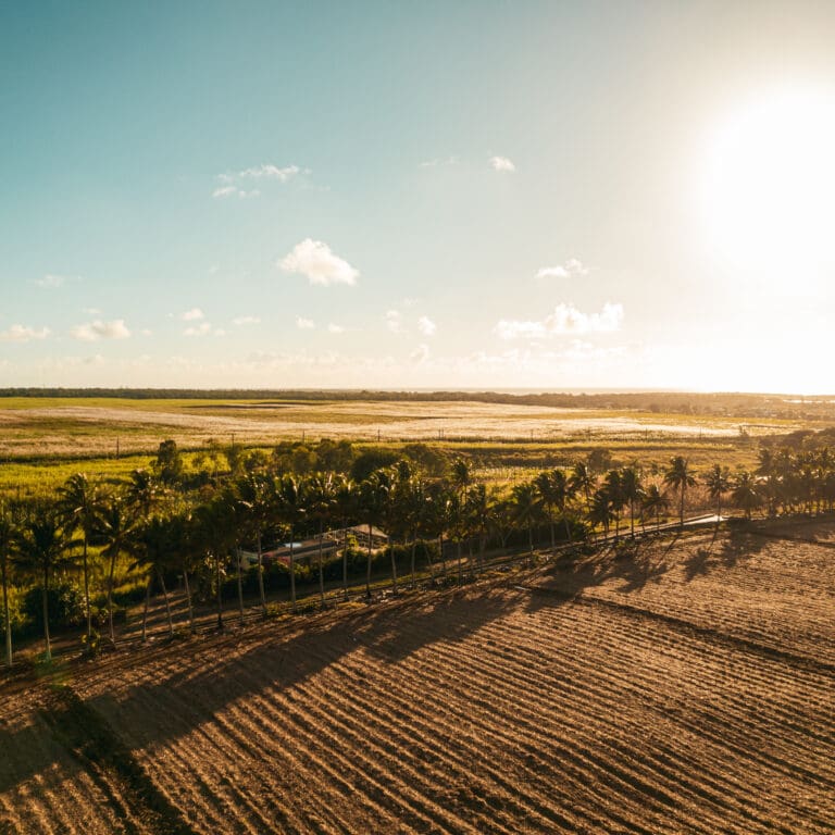 Property | Alteo Group | Mauritius